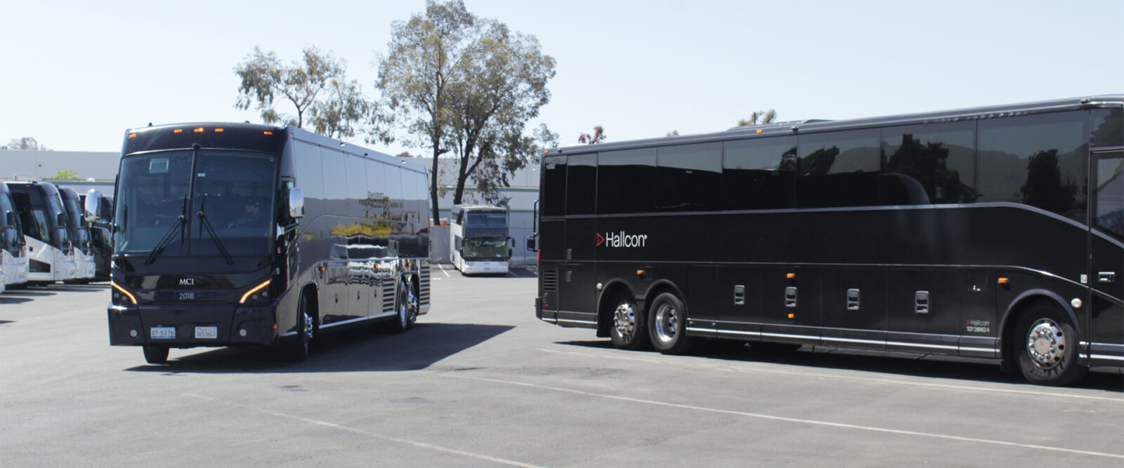 University Shuttles | Hallcon